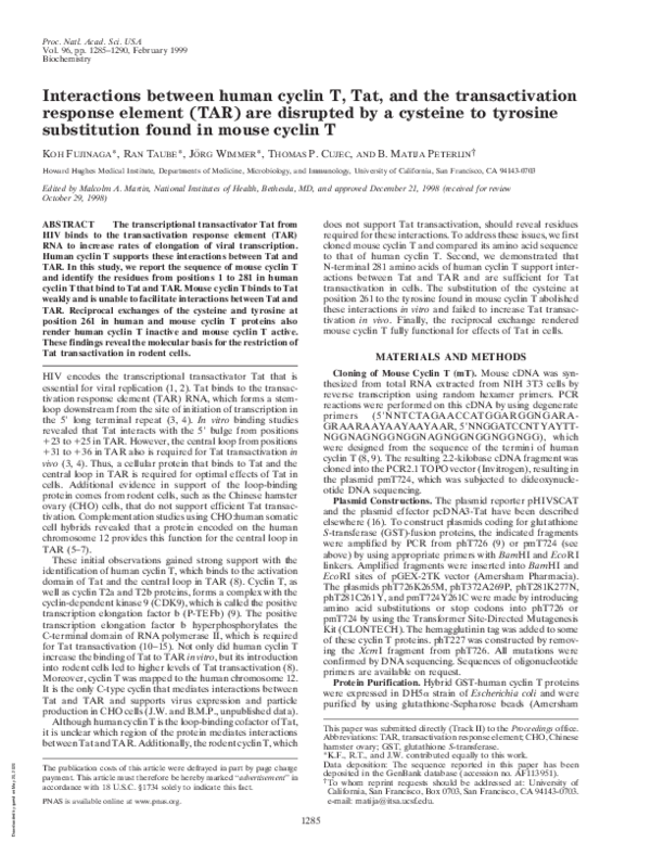 (PDF) Interactions between human cyclin T, Tat, and the transactivation ...