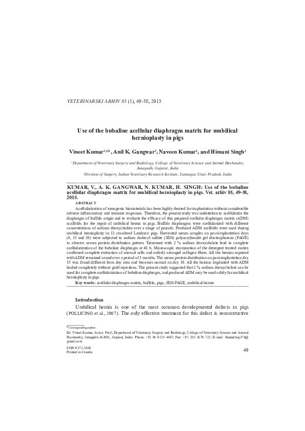 (PDF) Use of the bubaline acellular diaphragm matrix for umbilical ...
