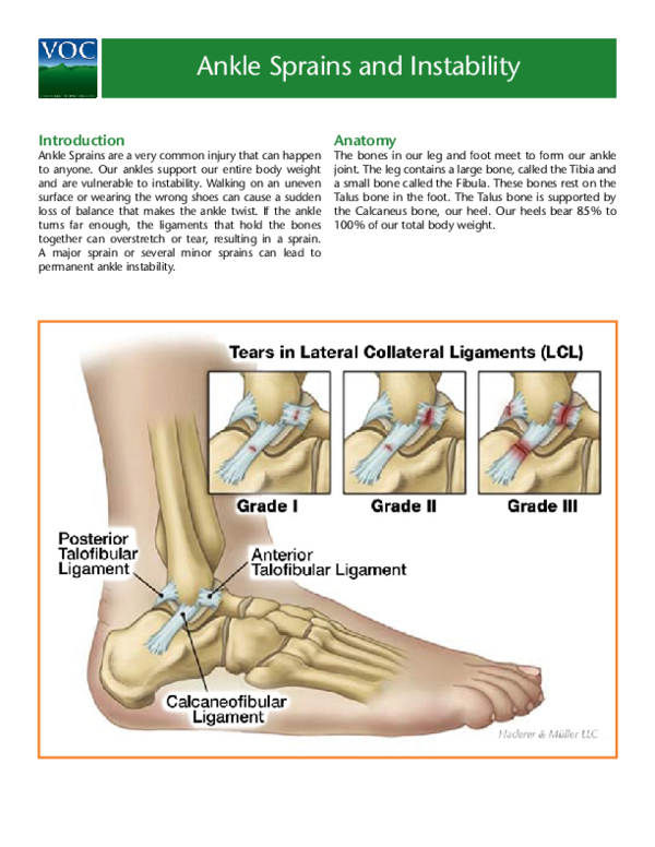 (PDF) Ankle Sprains and Instability