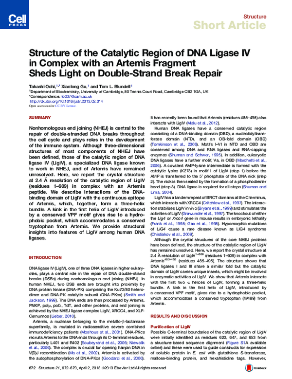(PDF) Structure of the catalytic region of DNA ligase IV in complex ...