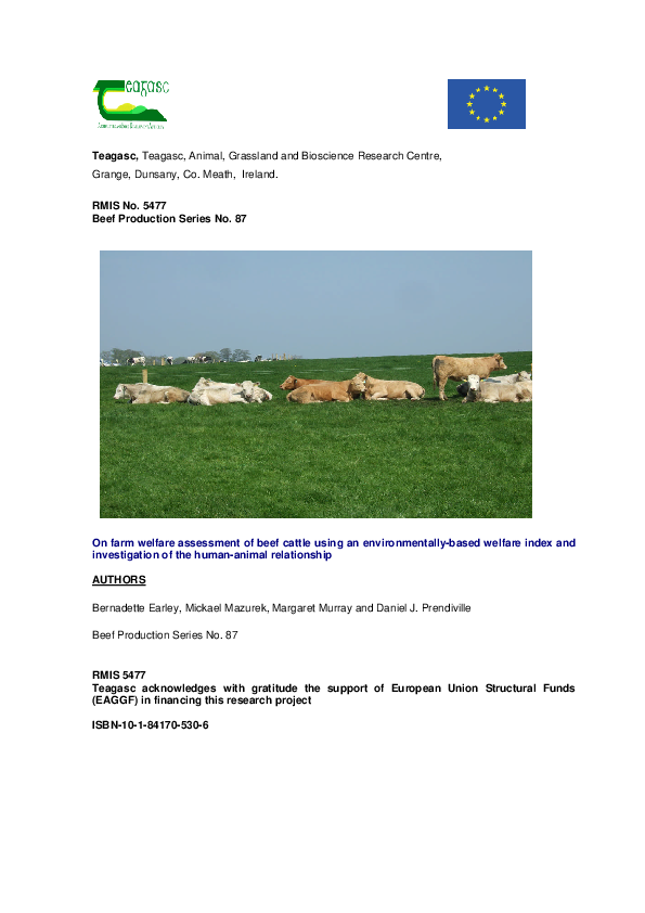 (PDF) On farm welfare assessment of beef cattle using an ...