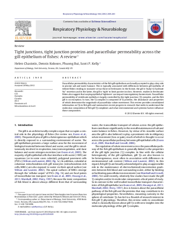 (PDF) Tight junctions, tight junction proteins and paracellular permeability across the gill ...