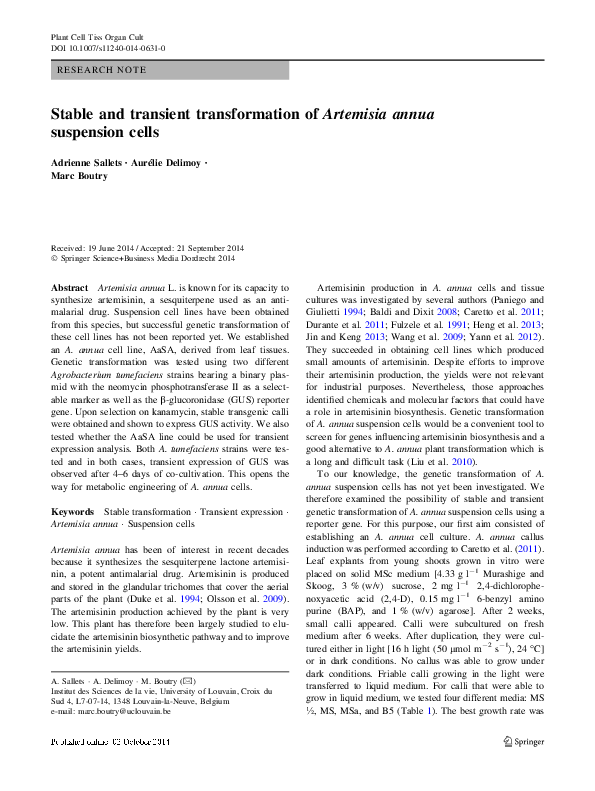 (PDF) Stable and transient transformation of Artemisia annua suspension ...
