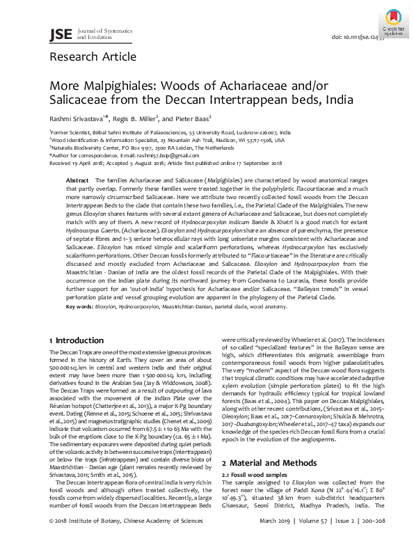 (PDF) More Malpighiales: Woods of Achariaceae and/or Salicaceae from ...