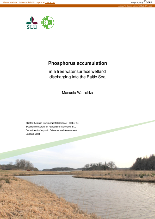 (PDF) Phosphorus accumulation in a free water surface wetland ...