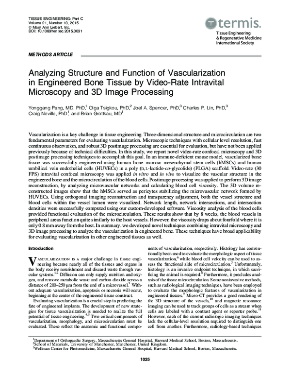 (PDF) Analyzing Structure and Function of Vascularization in Engineered ...