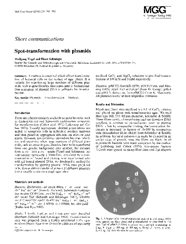 (PDF) Spot-transformation with plasmids
