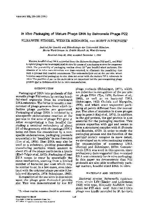 (PDF) In vitro packaging of mature phage DNA by Salmonella phage P22