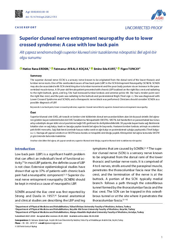 (PDF) Superior cluneal nerve entrapment neuropathy due to lower crossed ...