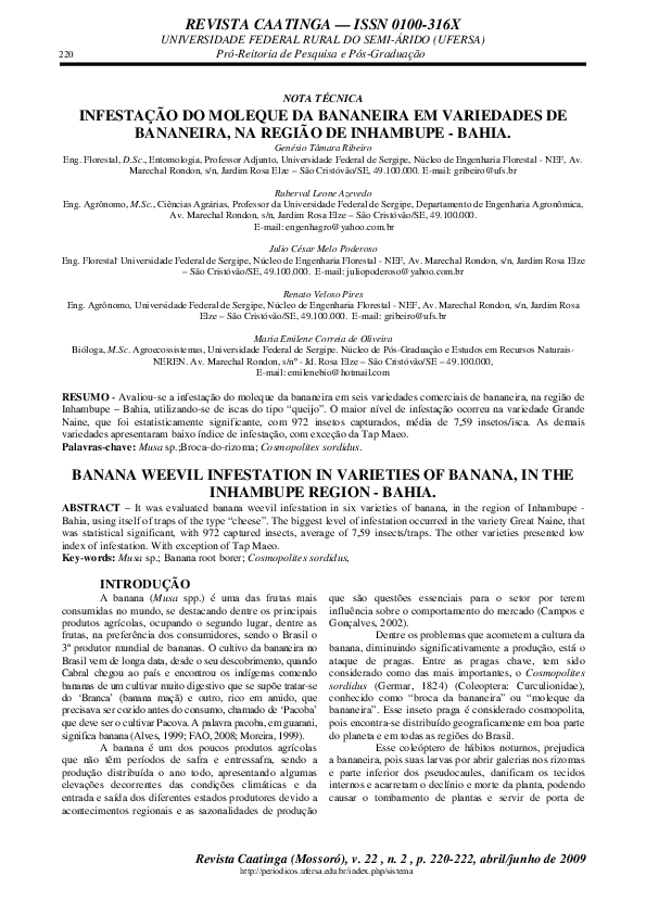 Pdf Infestação Do Moleque Da Bananeira Em Variedades De Bananeira Na