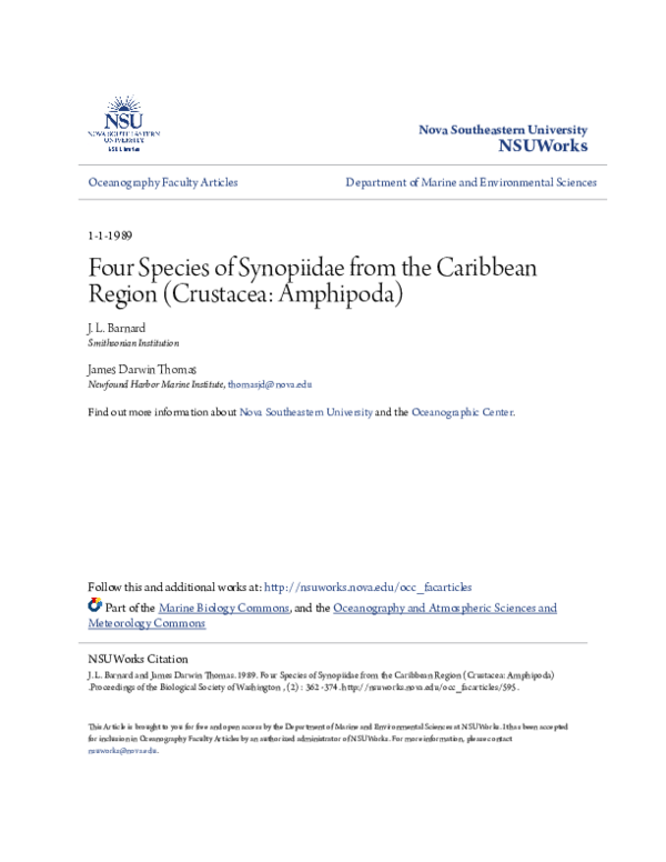 (PDF) Four species of Synopiidae from the Caribbean region (Crustacea ...
