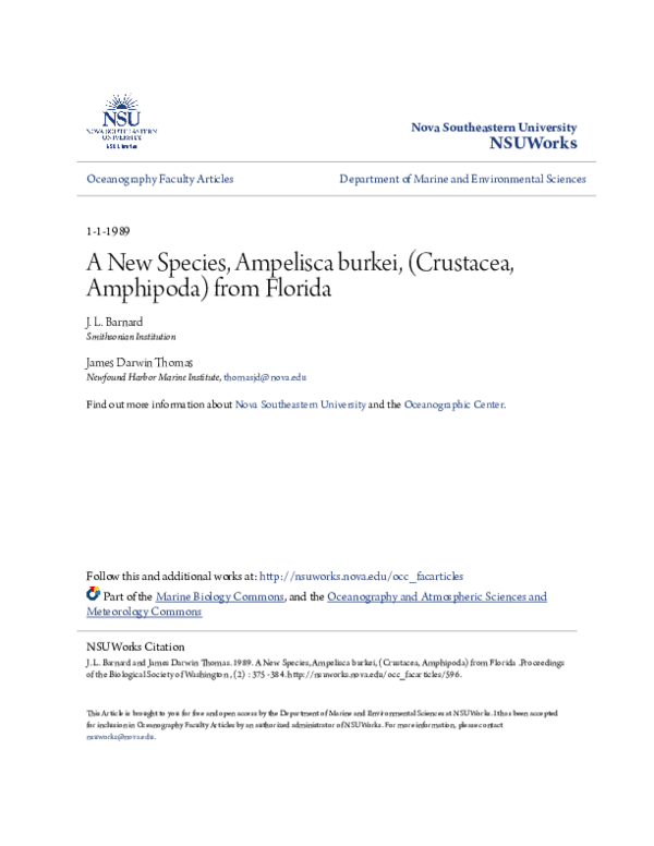 (PDF) A new species, Ampelisca burkei,(Crustacea, Amphipoda) from Florida