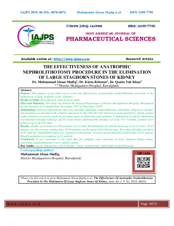 (PDF) The Effectiveness of Anatrophic Nephrolithotomy Procedure in the ...