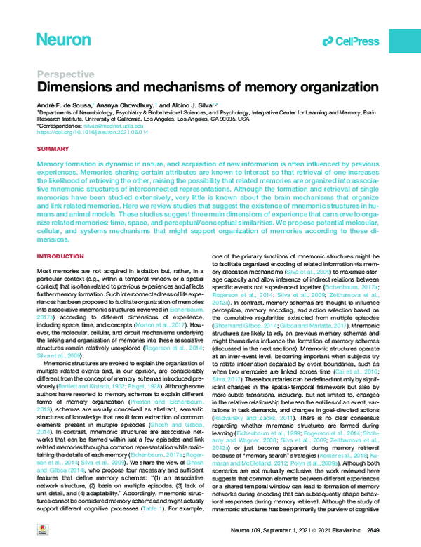 (PDF) Dimensions and mechanisms of memory organization
