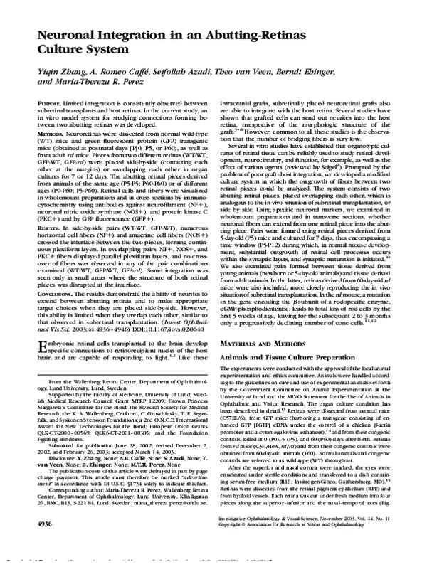 (PDF) Neuronal Integration in an Abutting-Retinas Culture System