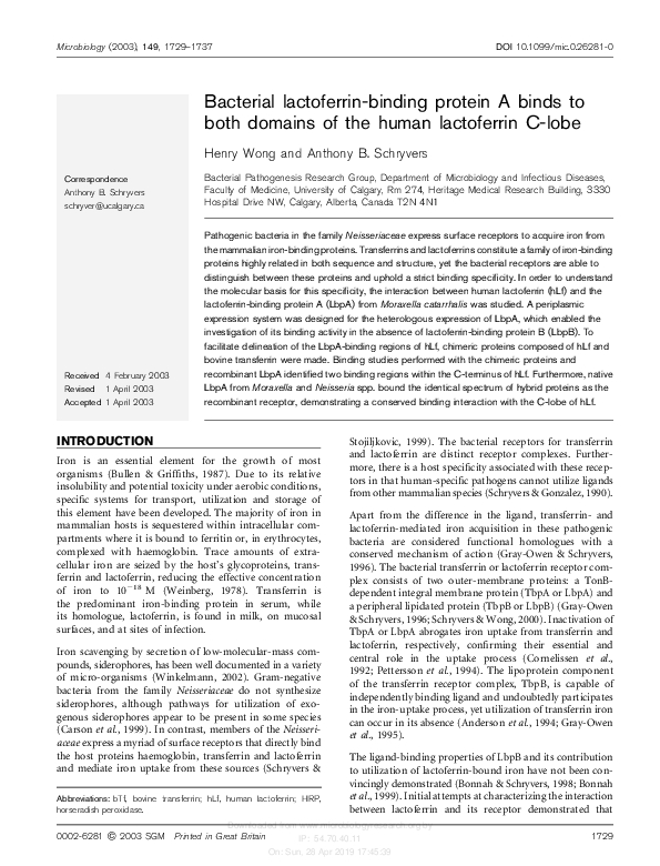 (PDF) Bacterial lactoferrin-binding protein A binds to both domains of ...
