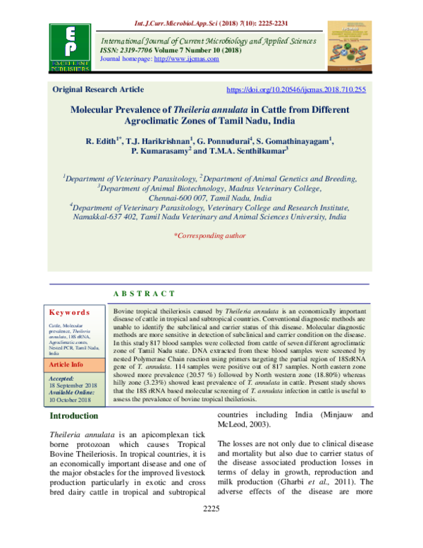Pdf Molecular Prevalence Of Theileria Annulata In Cattle From