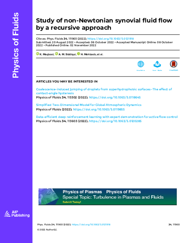 (PDF) Study of non-Newtonian synovial fluid flow by a recursive approach