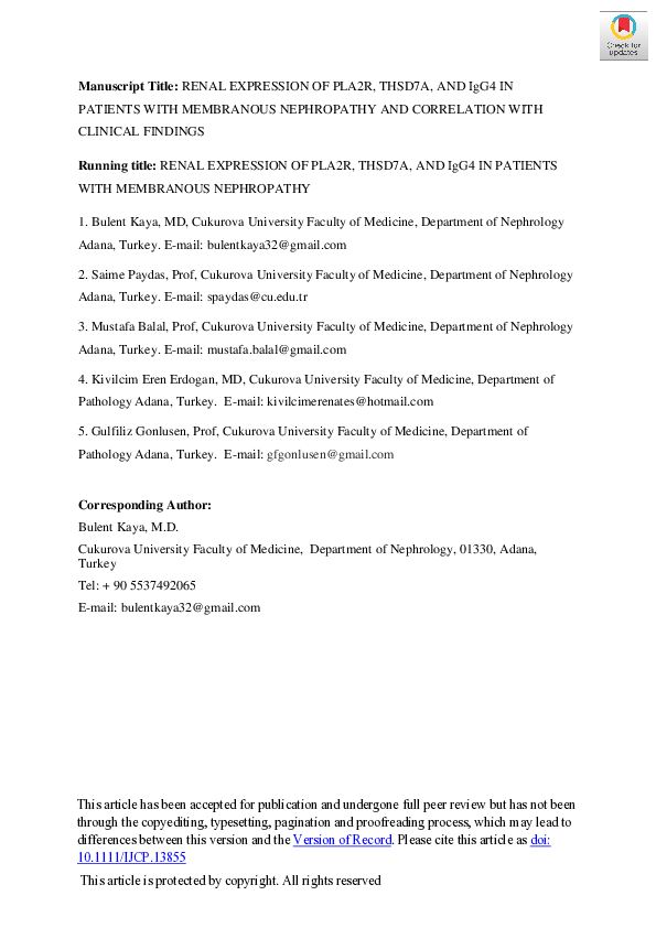 (PDF) Renal expression of PLA2R, THSD7A, and IgG4 in patients with ...