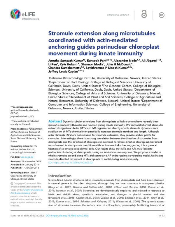 (PDF) Stromule extension along microtubules coordinated with actin ...