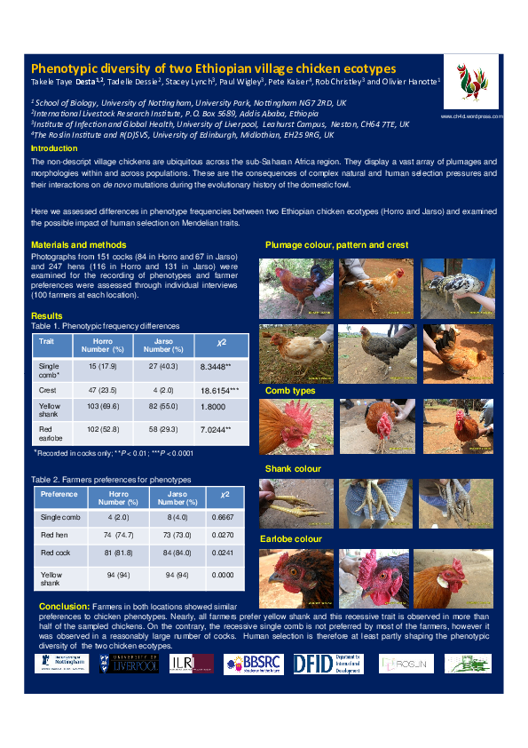 (PDF) Phenotypic diversity of two Ethiopian village chicken ecotypes