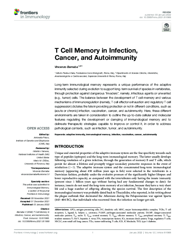 (PDF) T Cell Memory in Infection, Cancer, and Autoimmunity