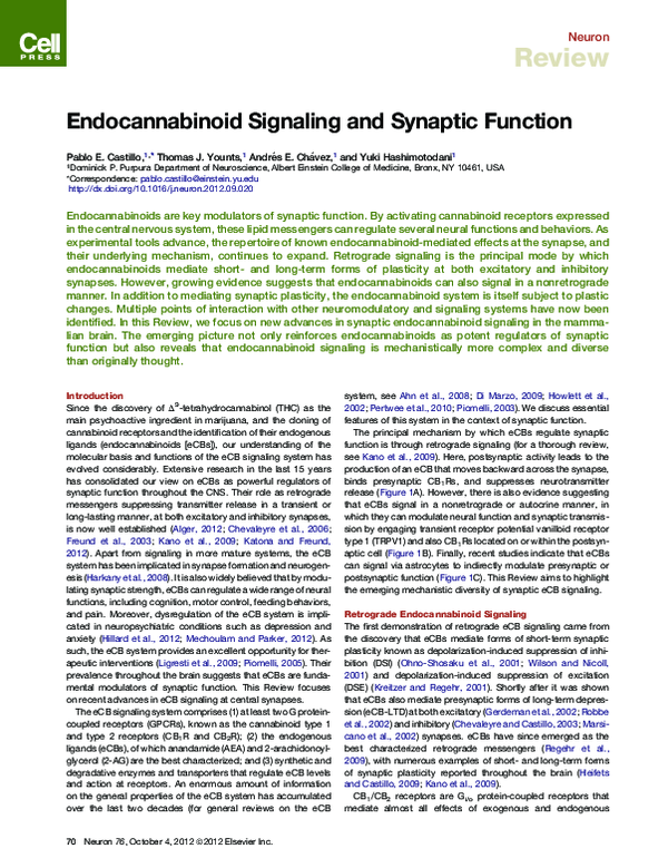 (PDF) Endocannabinoid Signaling and Synaptic Function