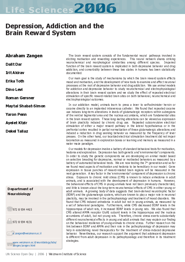 (PDF) Depression , Addiction and the Brain Reward System