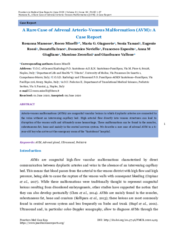 (PDF) A Rare Case of Adrenal Arterio-Venous Malformation (AVM): A Case ...