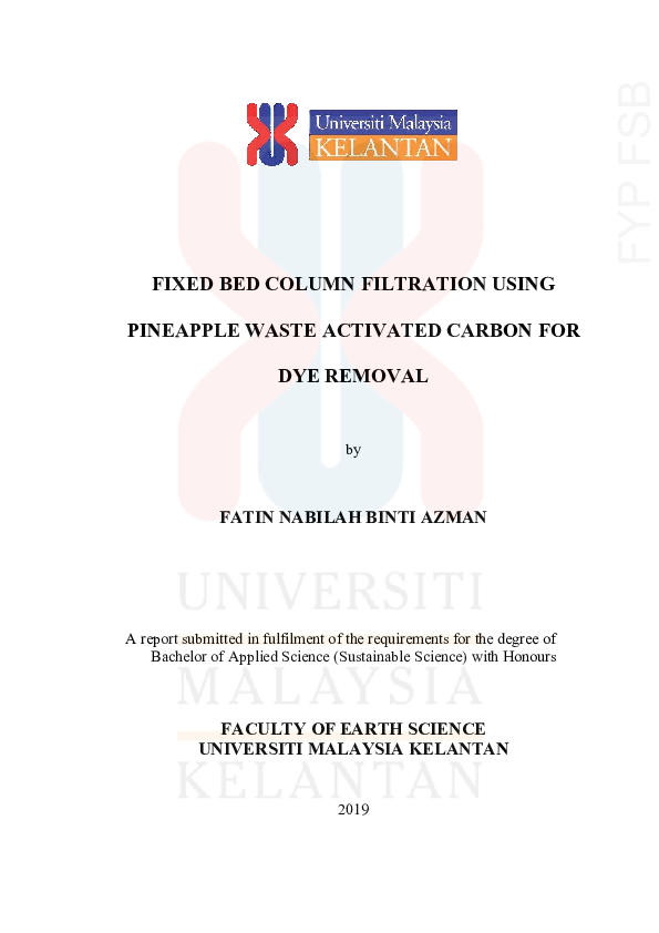 (PDF) Fixed bed column filtration using pineapple waste activated ...