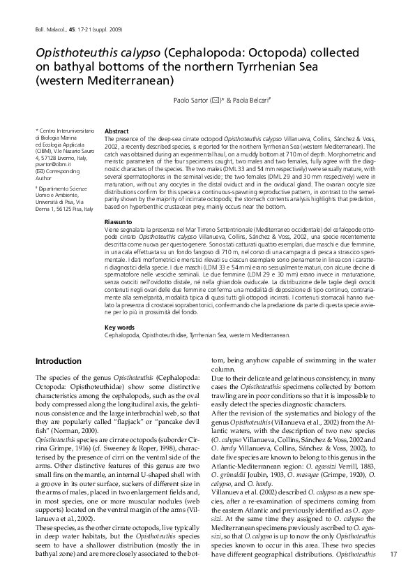 (PDF) Opisthoteuthis calypso (Cephalopoda: Octopoda) collected on ...