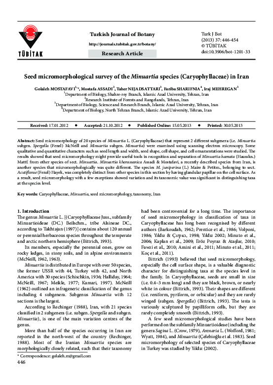 (PDF) Seed micromorphological survey of the Minuartia species ...