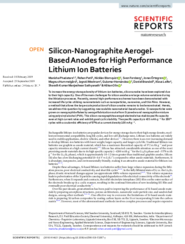 (PDF) Nanostructured Silicon Anodes for High-Performance Lithium-Ion Batteries