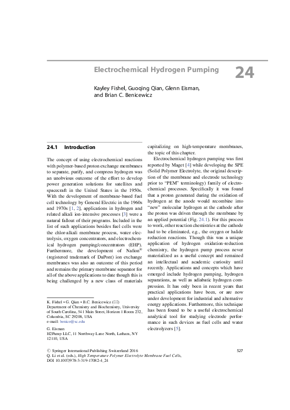 (PDF) Electrochemical Hydrogen Pumping 24