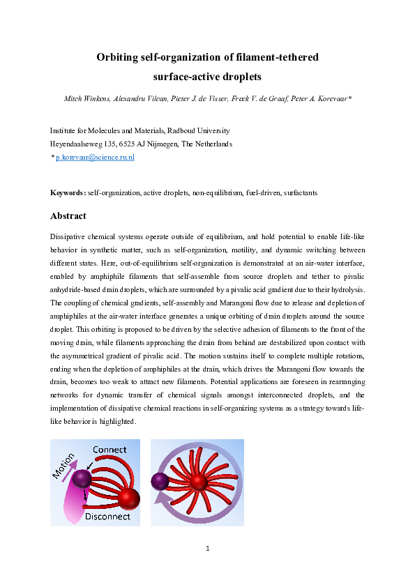 (PDF) Orbiting self-organization of filament-tethered surface-active droplets