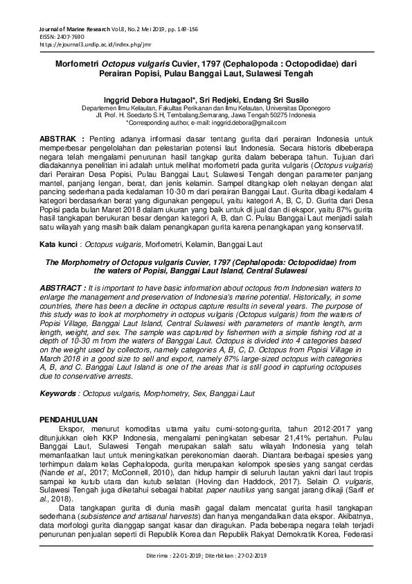 (PDF) Morfometri Octopus vulgaris Cuvier, 1797 (Cephalopoda ...