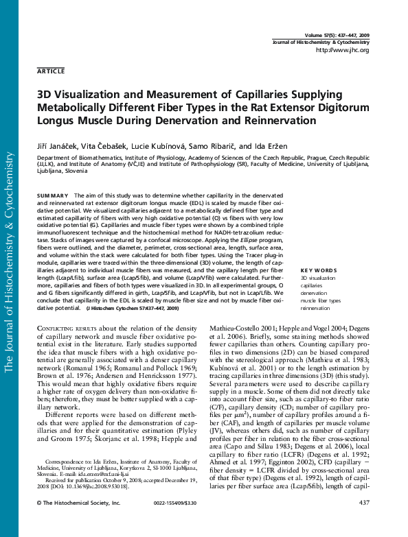(PDF) 3D Visualization and Measurement of Capillaries Supplying ...