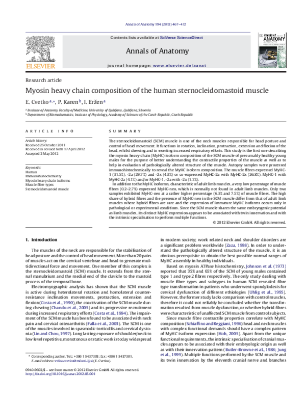 (PDF) Myosin heavy chain composition of the human sternocleidomastoid ...