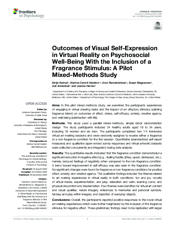 (PDF) Outcomes of Visual Self-Expression in Virtual Reality on ...