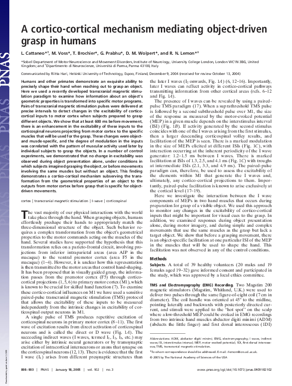 (PDF) A cortico-cortical mechanism mediating object-driven grasp in humans