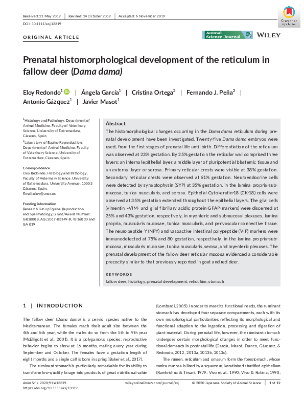 (PDF) Prenatal histomorphological development of the rumen in Dama dama