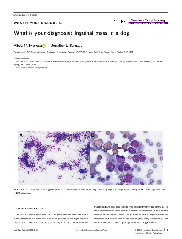 (PDF) What is your diagnosis? Inguinal mass in a dog | Alicia Moreau ...