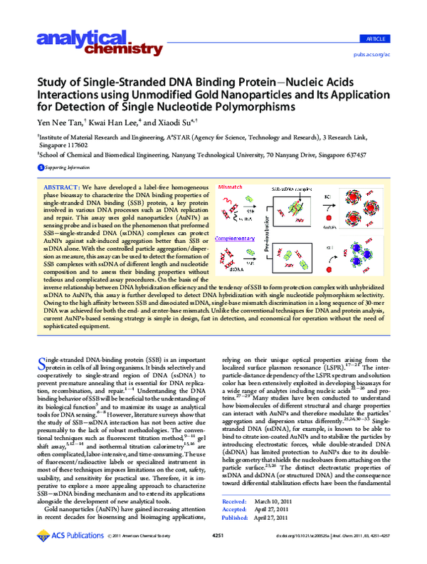 (PDF) Study of Single-Stranded DNA Binding Protein–Nucleic Acids Interactions using Unmodified ...