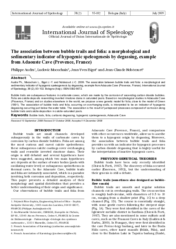 (PDF) The association between bubble trails and folia: a morphological ...