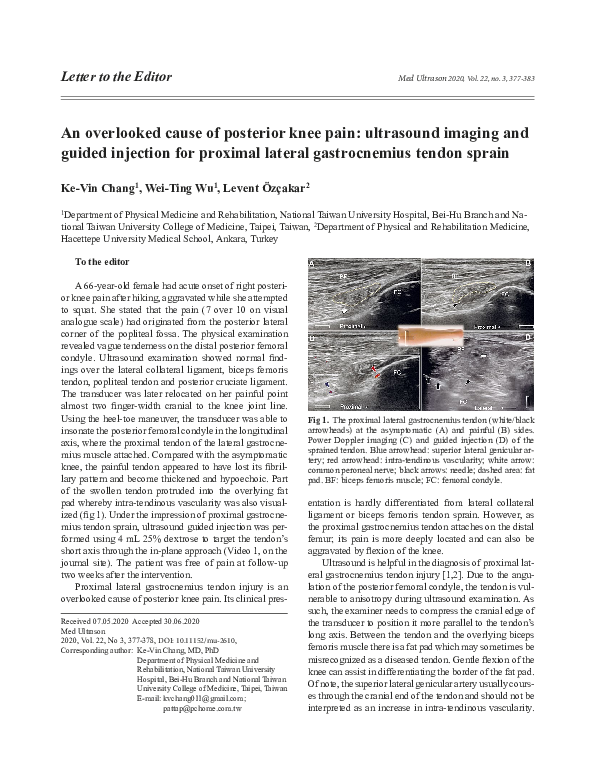 (PDF) An Overlooked Cause of Posterior Knee Pain: Ultrasound Imaging ...