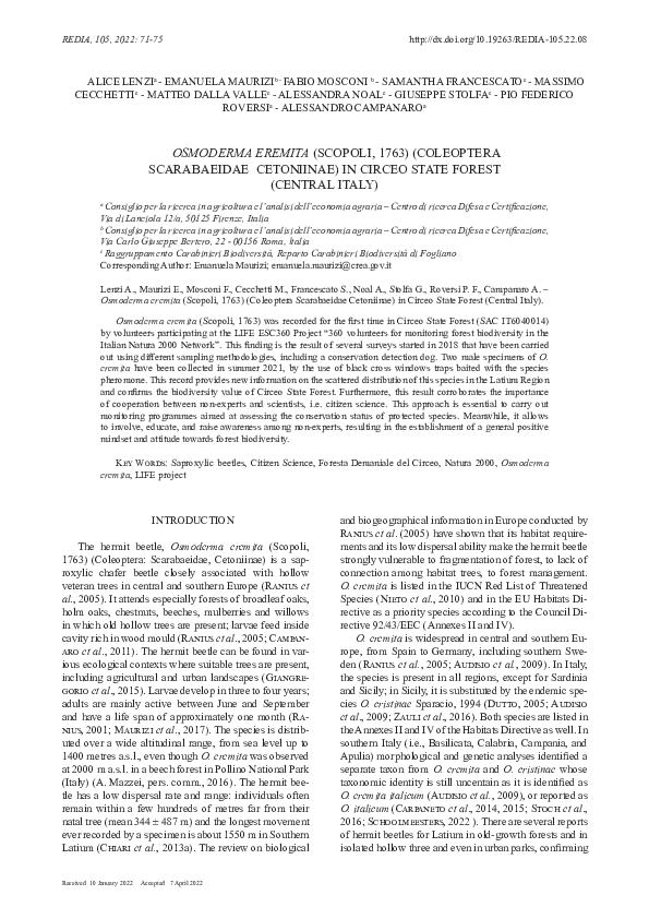 (PDF) Osmoderma Eremita (Scopoli, 1763) (Coleoptera Scarabaeidae ...