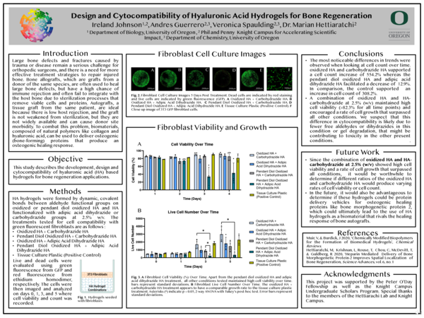 (PDF) Design and Cytocompatibility of Hyaluronic Acid Hydrogels for ...