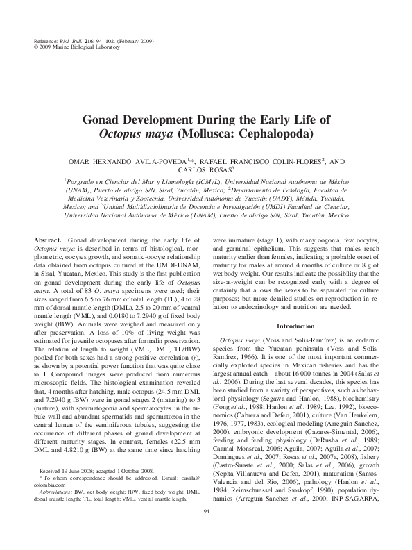 (PDF) Gonad development during the early life of Octopus maya (Mollusca ...