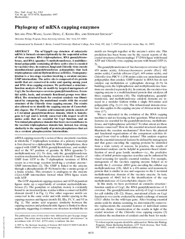 (PDF) Phylogeny of mRNA capping enzymes