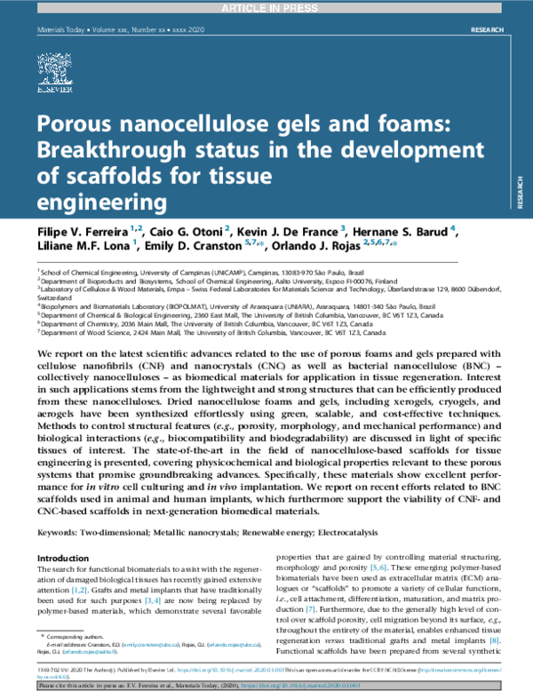 (PDF) Porous nanocellulose gels and foams: Breakthrough status in the development of scaffolds ...